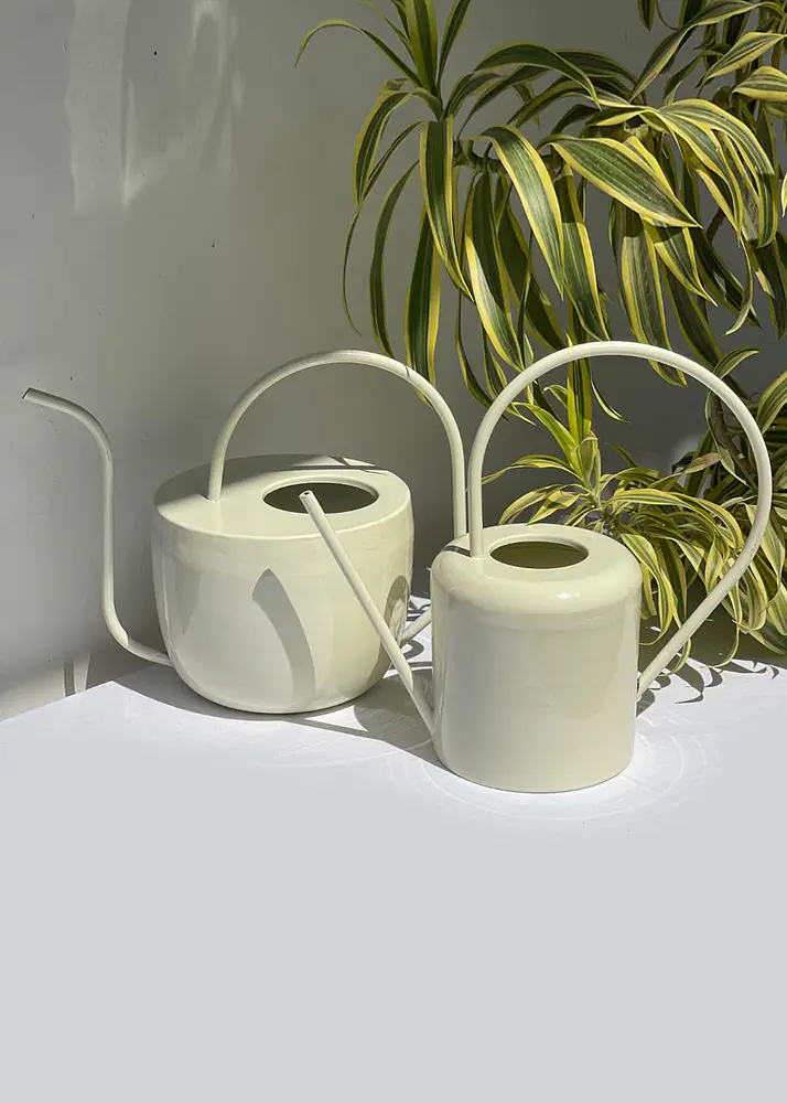 Basic Watering Equipment For Garden